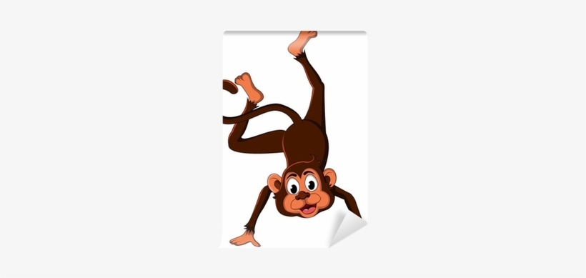 Monkey On Board Cartoon - Free Transparent PNG Download - PNGkey