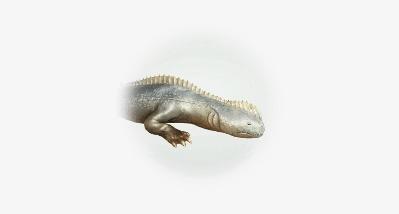 Blue Lizard - Icon - Free Transparent PNG Download - PNGkey