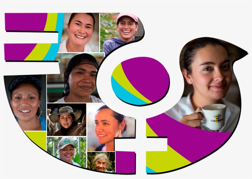 Collage - Free Transparent PNG Download - PNGkey