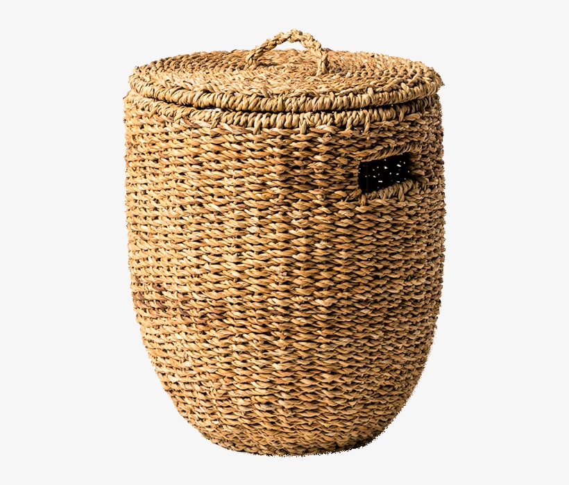 Bozy-098 - Free Transparent PNG Download - PNGkey