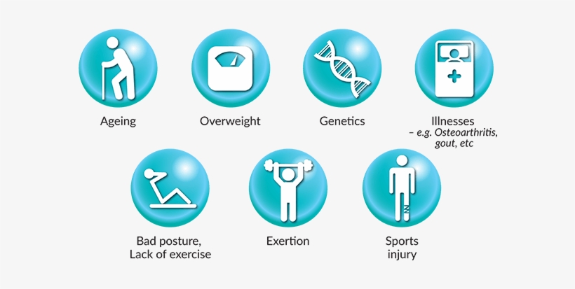 Comon Causes Of Joint Pain - Circle - Free Transparent PNG Download ...