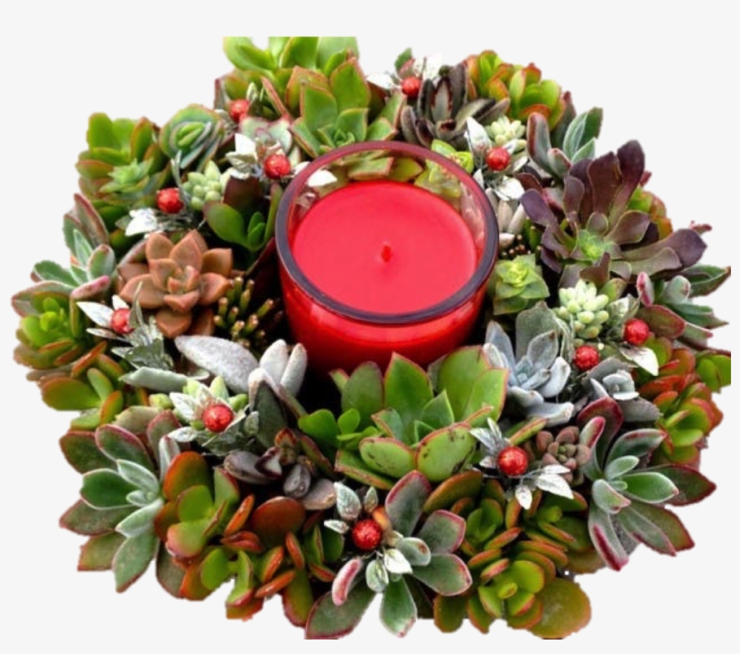 The First Form - Free Transparent PNG Download - PNGkey