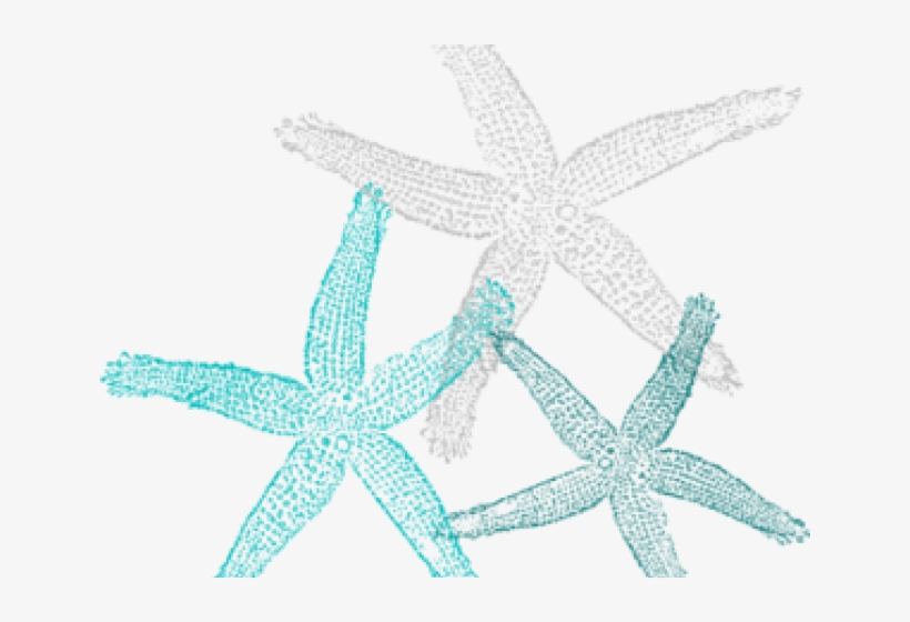 Fish Clip Art - Free Transparent PNG Download - PNGkey