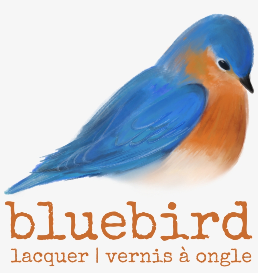 Eastern Bluebird - Free Transparent PNG Download - PNGkey
