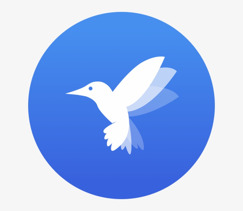 Bluebird 17 - Icon - Free Transparent PNG Download - PNGkey