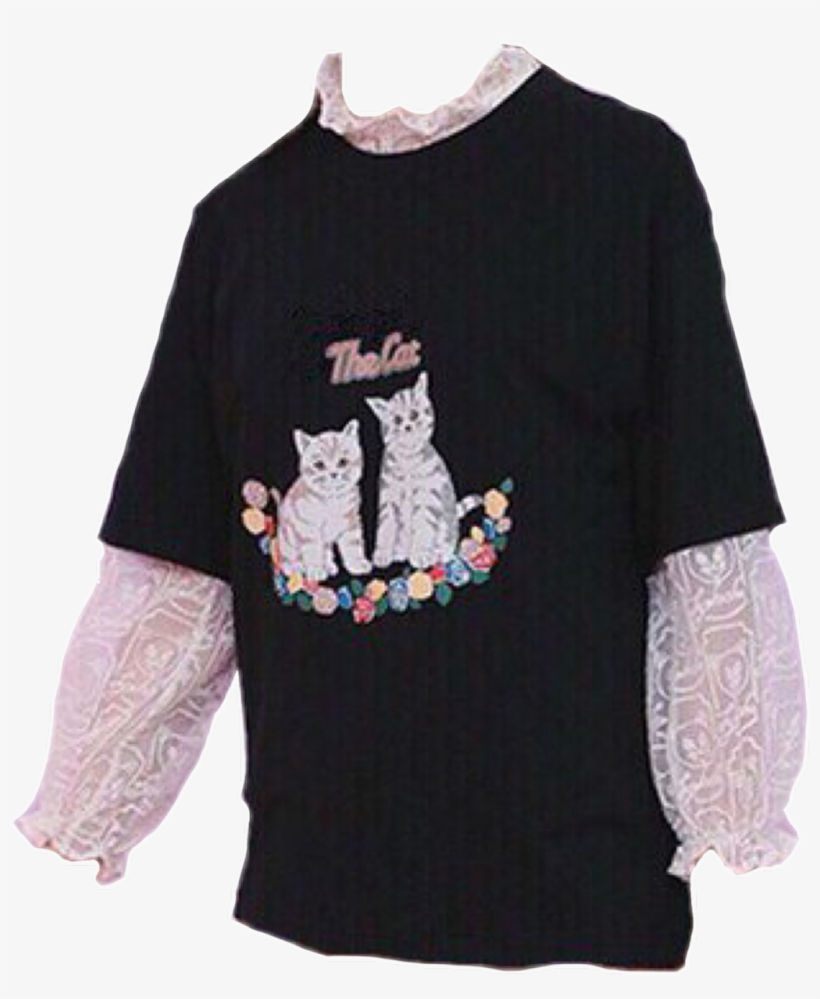 Fashion Sticker - Swift Fox - Free Transparent PNG Download - PNGkey