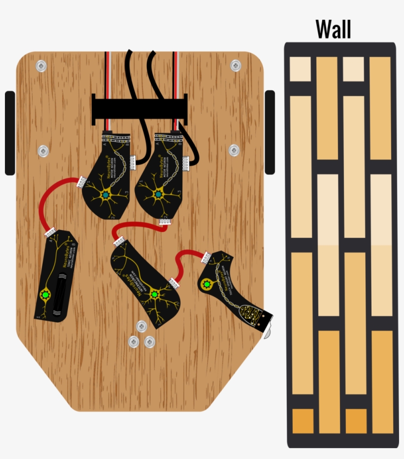 Insecure - Plywood - Free Transparent PNG Download - PNGkey