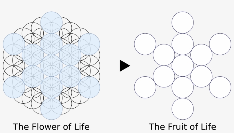 Open - Fruit Of Life Png - Free Transparent PNG Download - PNGkey