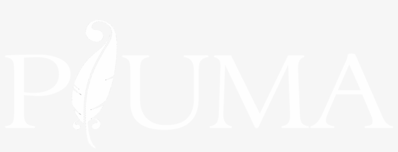 Pluma Logo-no Stroke White - Drawing - Free Transparent PNG Download ...