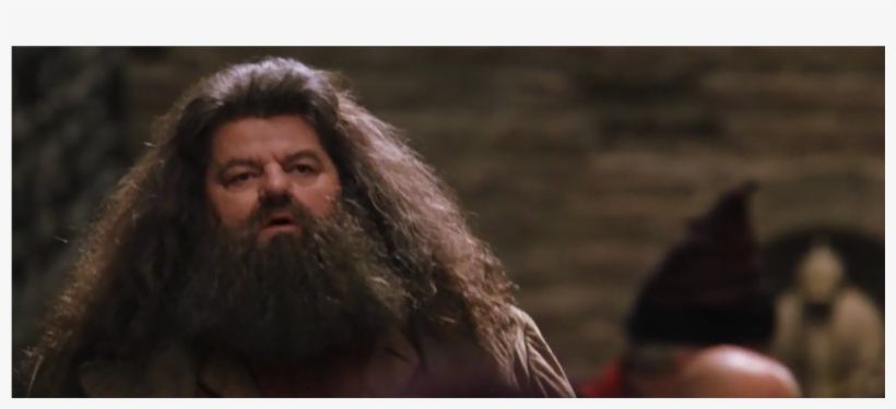 On Twitter - Human - Free Transparent PNG Download - PNGkey