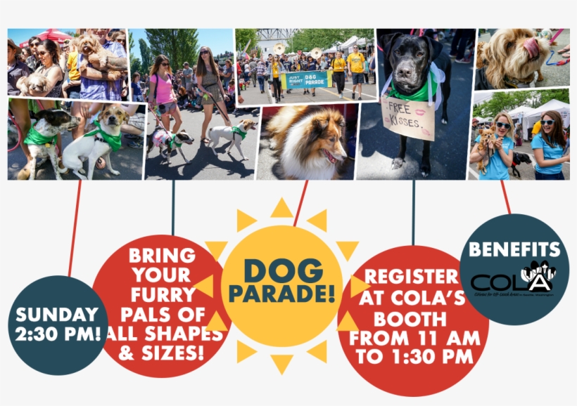 Dog-parade - Punxsutawney Phil - Free Transparent PNG Download - PNGkey