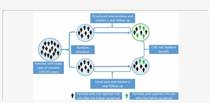 Schematic Diagram Of The Randomized Controlled Trial - Behavioural ...