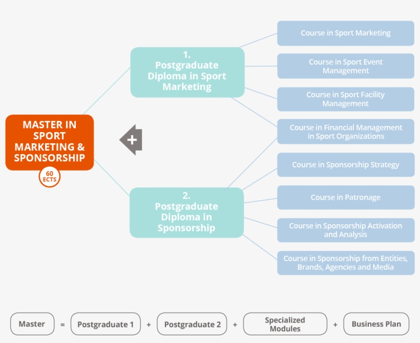 Sports Marketing Structure - Free Transparent PNG Download - PNGkey