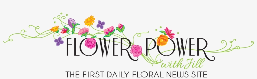 Header Logo - Illustration - Free Transparent PNG Download - PNGkey