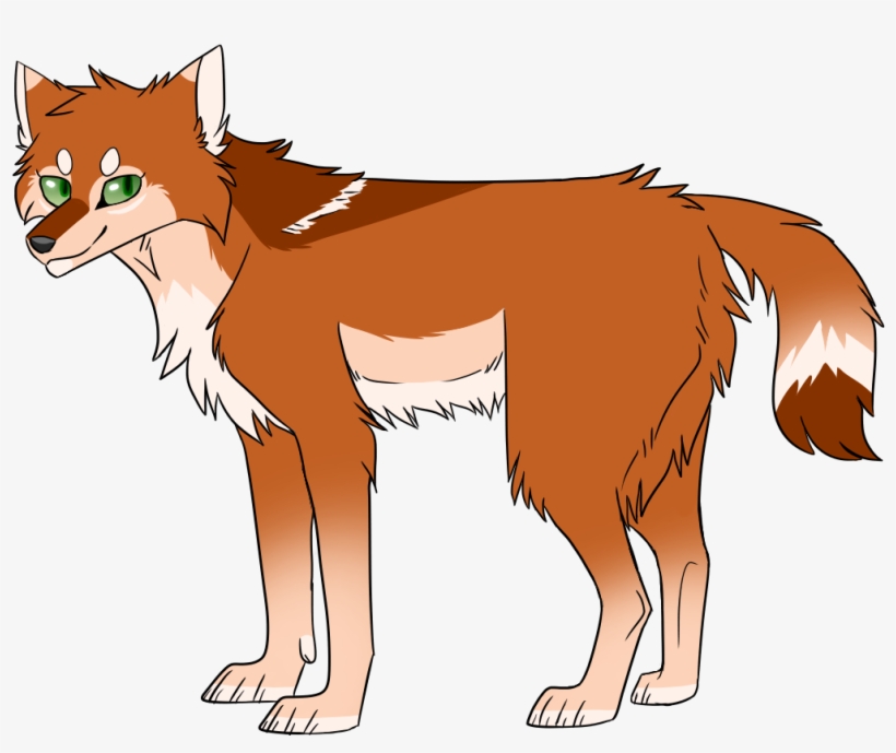 Mango - Swift Fox - Free Transparent PNG Download - PNGkey