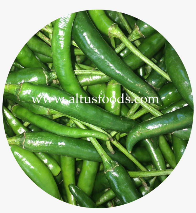 Uganda Chilli Exporters, Uganda Chilli Exporters Manufacturers - Bird's ...
