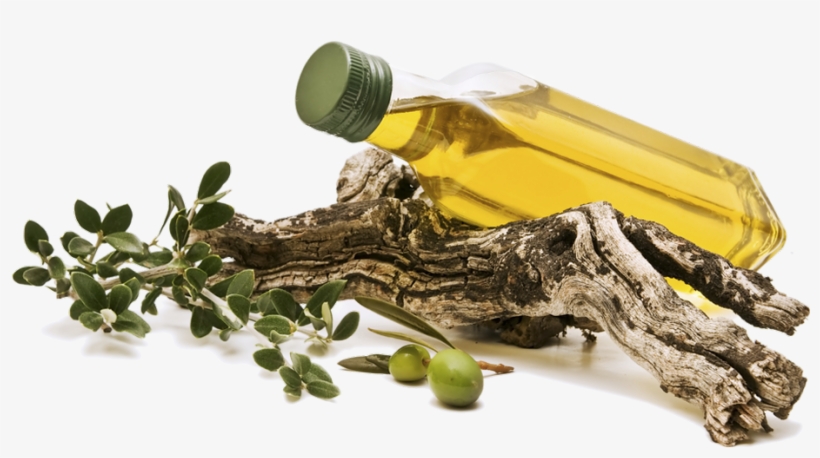 Olive Png - Free Transparent PNG Download - PNGkey