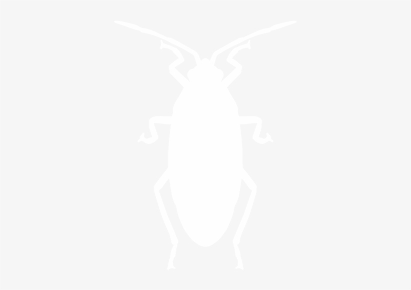 All Pests - Pest Control - Free Transparent PNG Download - PNGkey