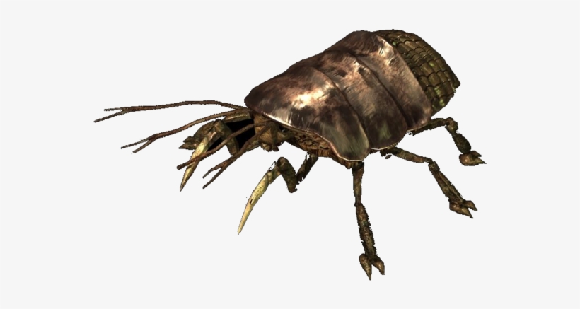 Giant Cockroach - Fallout Radroach - Free Transparent PNG Download - PNGkey