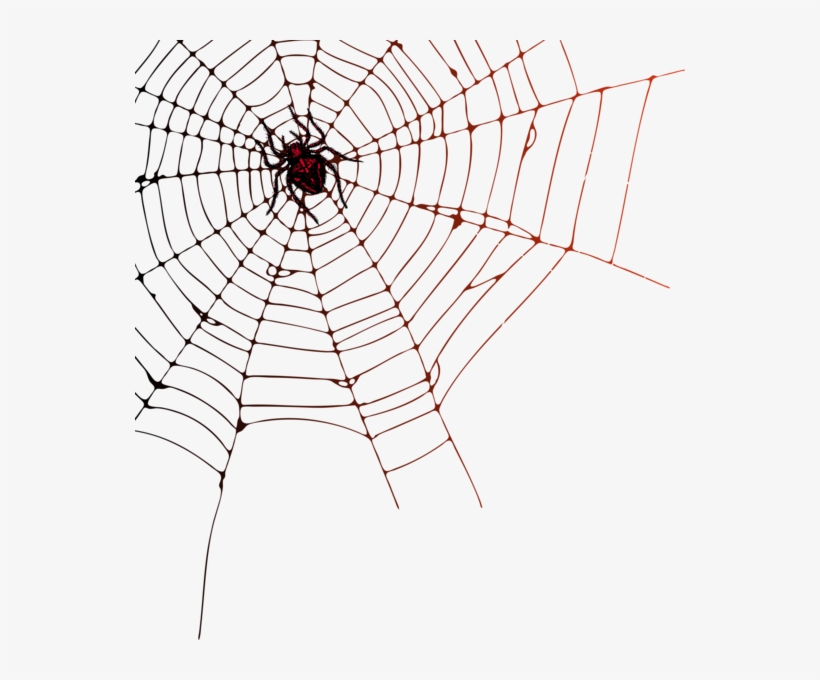 0, - Spider Web Png Transparent Background - Free Transparent PNG ...
