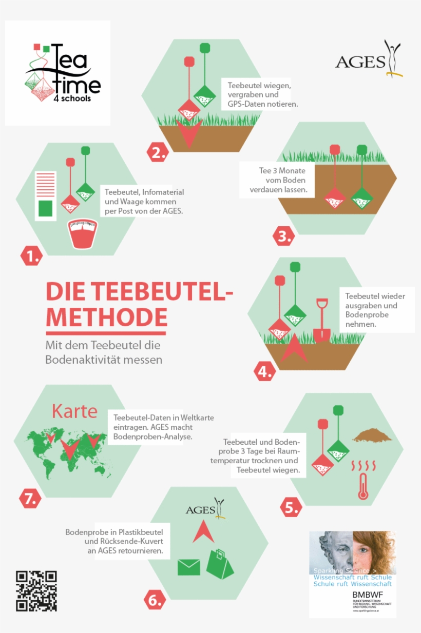 The Tea Bag Method At A Glance - Diagram - Free Transparent PNG ...