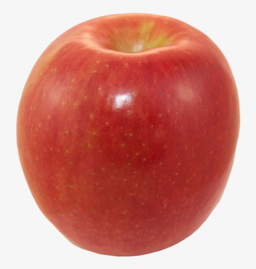 Mcintosh - Free Transparent PNG Download - PNGkey