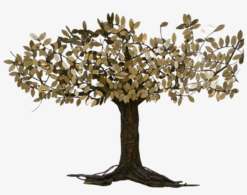 Plane-tree Family - Free Transparent PNG Download - PNGkey