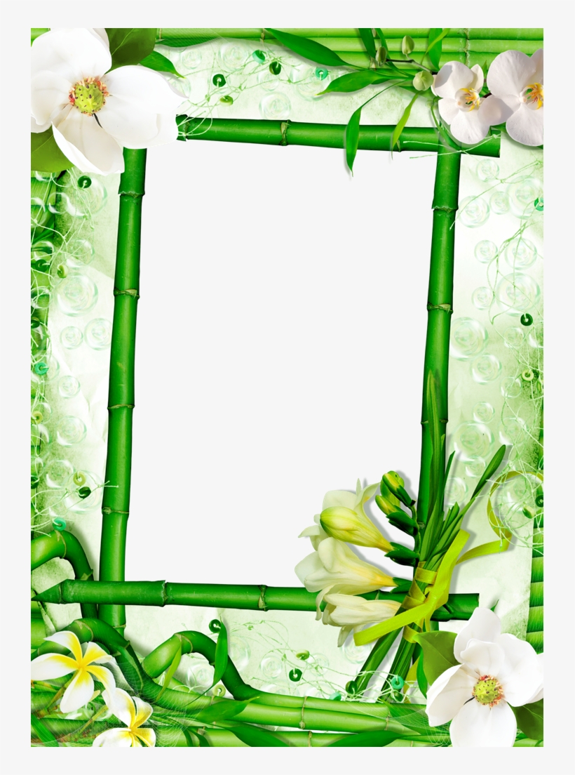 Forgetmenot - Lily Family - Free Transparent PNG Download - PNGkey