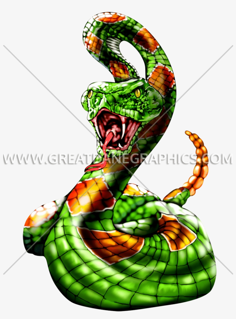 Green Snake Png - Snakes - Free Transparent PNG Download - PNGkey