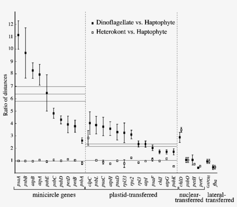 Ratio Of Distances Of Plast - Diagram - Free Transparent PNG Download ...