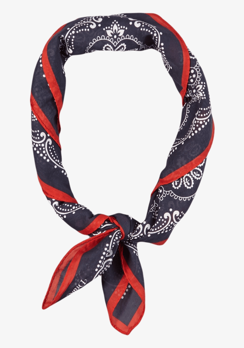 Drake'sblue Red Paisley Printed Cotton Bandana - Free Transparent PNG ...