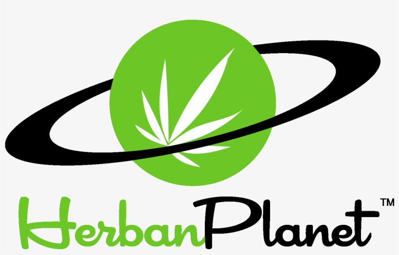 Event Index - Free Transparent PNG Download - PNGkey