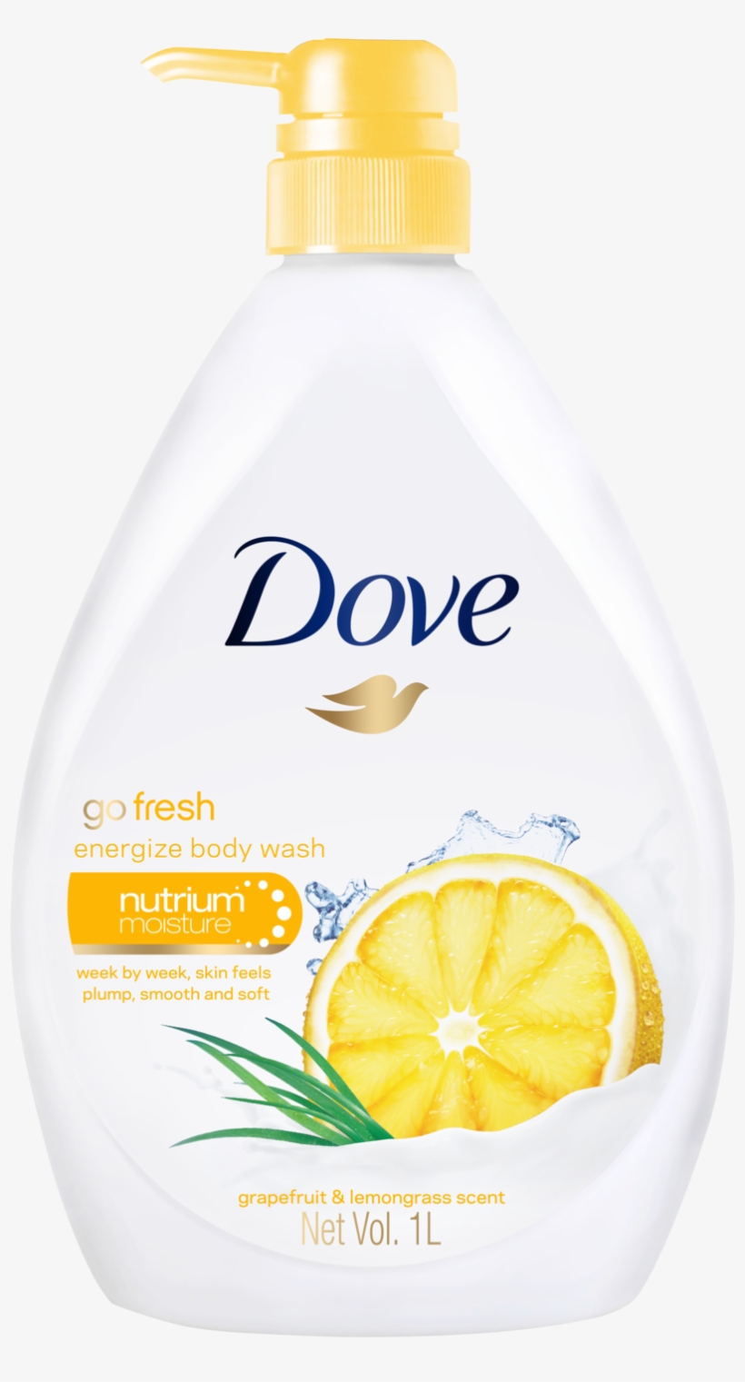 Dove - Free Transparent PNG Download - PNGkey