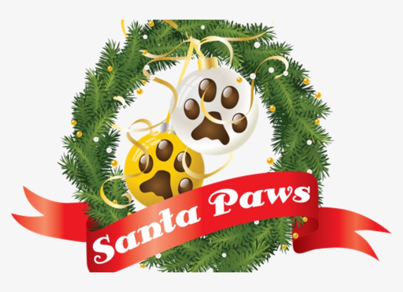 Santa Paws - Free Transparent PNG Download - PNGkey