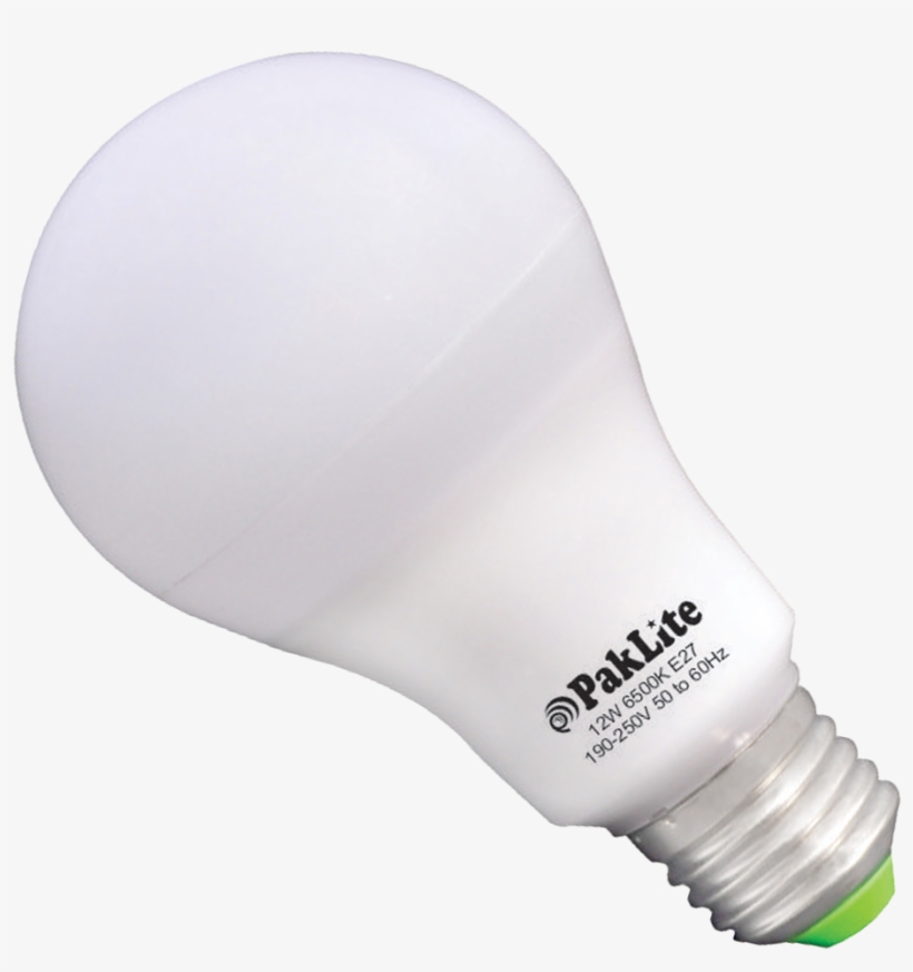 Led Bulbs - Paklite - Free Transparent PNG Download - PNGkey