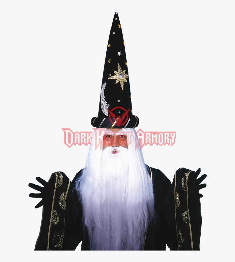 Zoom - Wizard Beard - Free Transparent PNG Download - PNGkey