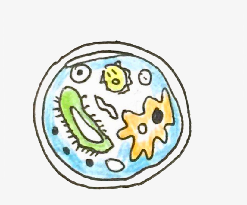 Collaboration - Circle - Free Transparent PNG Download - PNGkey