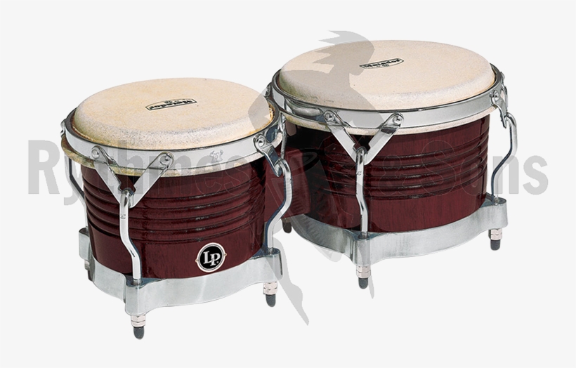 Pair Of Bongos Lp Matador® M201-abw - Bongo Lp - Free Transparent PNG Download - PNGkey