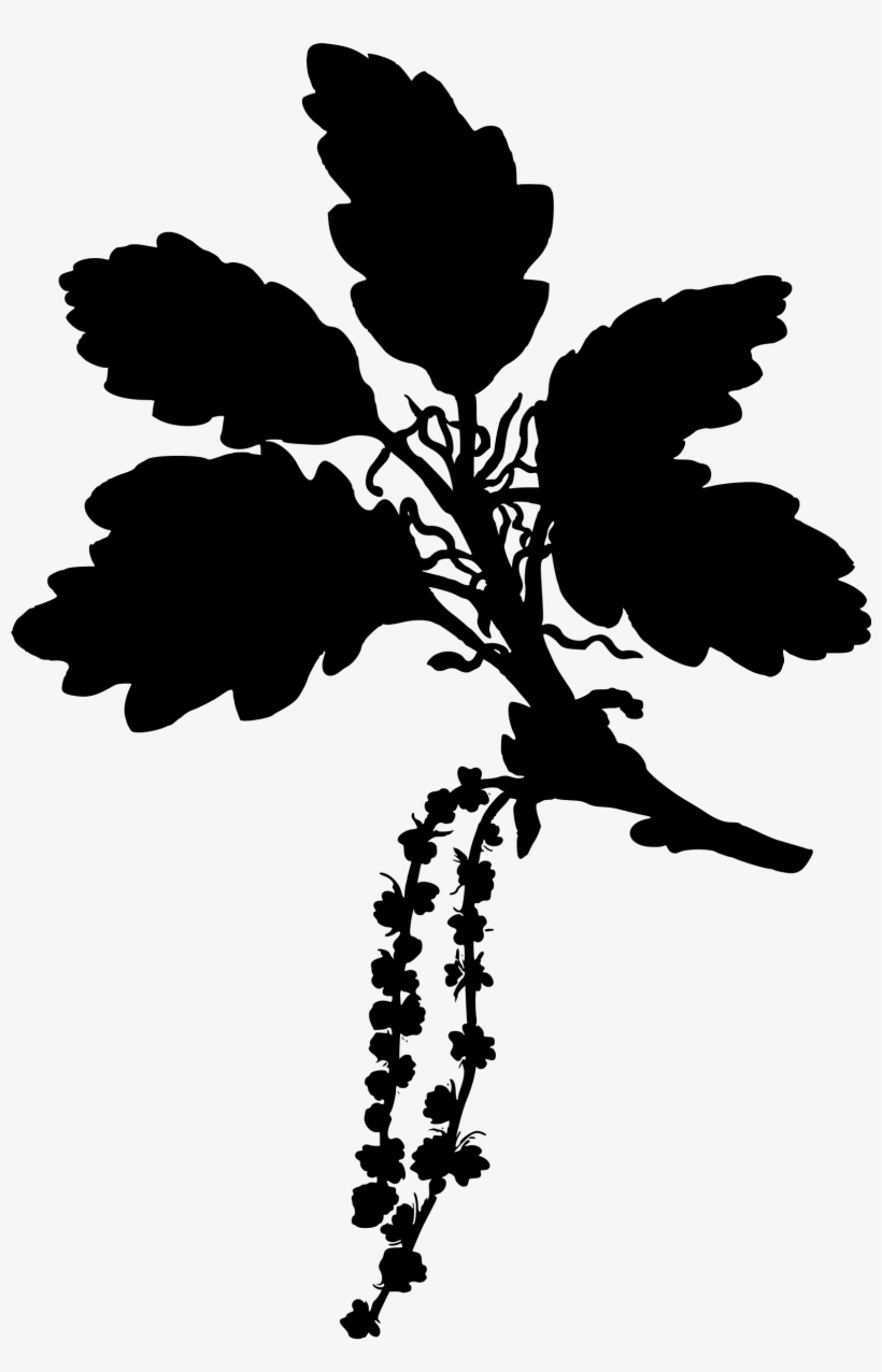 Source - Openclipart - Org - Report - Oak Tree Silhouette - Differenza Tra Rovere E Roverella ...