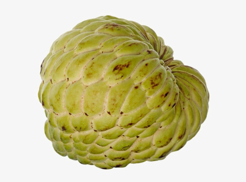 Sugar Apple Download Transparent Png Image - Sugar Apple Png - Free ...