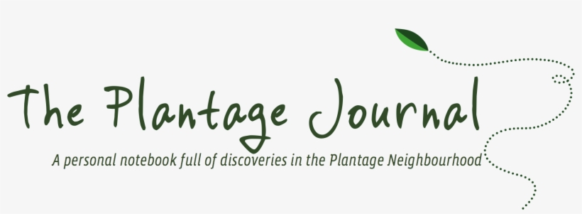 12 Sep - Calligraphy - Free Transparent PNG Download - PNGkey