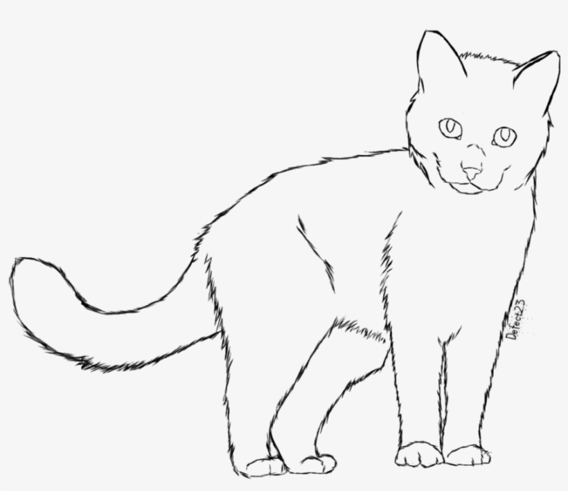 Transparent Cat Drawing Tumblr Digital File Cat Behind Torn Paper