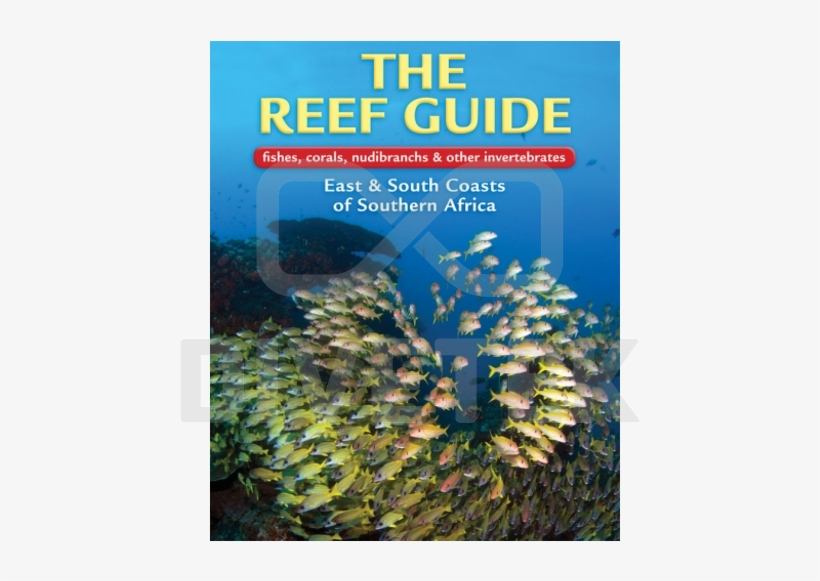 The Reef Guide - Reef Guide - Free Transparent PNG Download - PNGkey