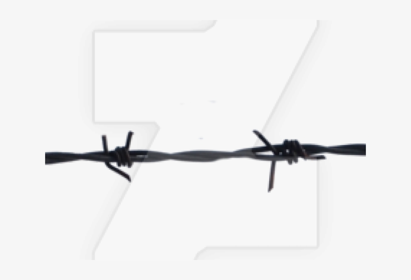 Vector Freeuse Stock Barb Wire Clipart Electricity - Barbed Wire - Free ...