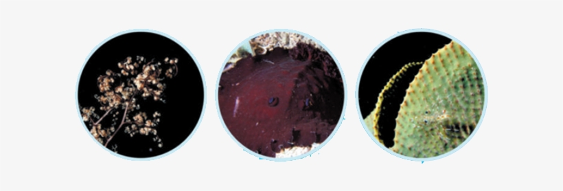 Image - Interstate 69 - Free Transparent PNG Download - PNGkey