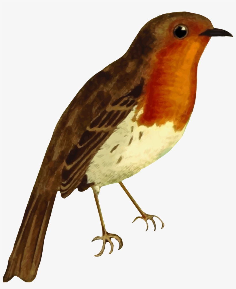 This Free Icons Png Design Of European Robin - Free Transparent PNG ...