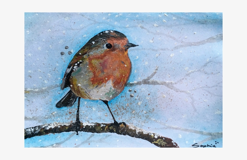 European Robin - Free Transparent PNG Download - PNGkey