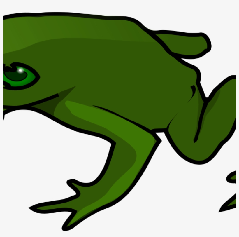 Dead Frog Clipart