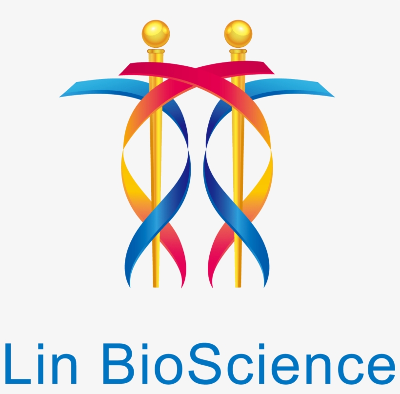 Lin Logo - Lin Bioscience Logo - Free Transparent PNG Download - PNGkey