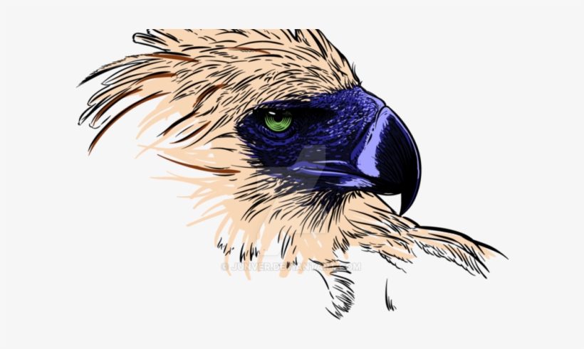 Phillipine Eagle Clipart Vector - Philippine Eagle Logo Png - Free ...